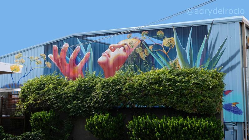 3D Mural for Agave Enviromental, Phoenix, AZ. US – Adry del Rocio